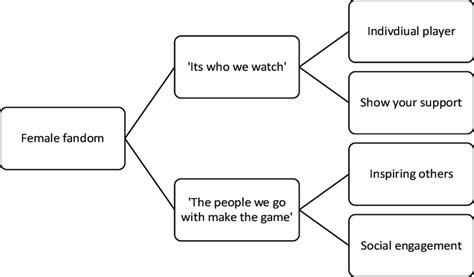 Higher And Lower Order Themes Identified From Fan Perspective Download Scientific Diagram