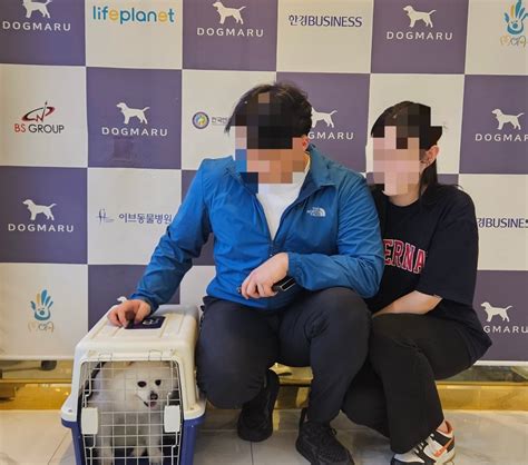 폼피츠 짱이 유기묘무료입양사이트 비숑프리제파양 포메라니안파양 말티즈파양 말티푸파양 푸들파양 먼치킨파양 랙돌파양 브리티쉬숏헤어파양 스코티쉬폴드파양 러시안블루파양 강아지파양