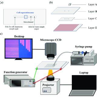 Schematic Illustration Of The A Layout And B Layer By Layer Download Scientific Diagram