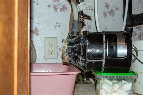When To Replace Your Garbage Disposal AAA Appliance Repair West Palm Beach