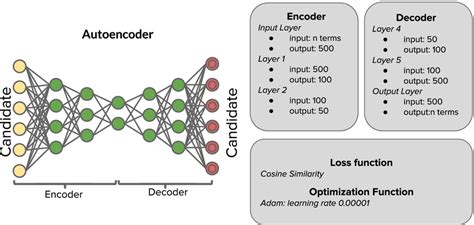 deep autoencoder architecture the first half being called the encoder download scientific