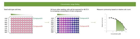 Dna Repair Profiler Toxys