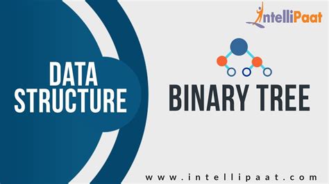 Binary Tree In Data Structure Types Of Binary Tree Data Structure