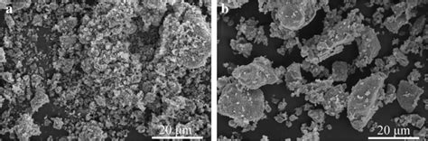 Microstructure Analysis Of Raw Materials A Rm B Ss Download