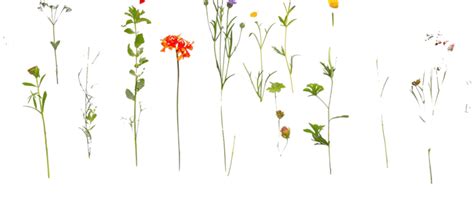 텀블러 미적 그림 텀블러 미적인 설계 Png 일러스트 및 이미지 에 대한 무료 다운로드 Pngtree