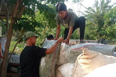 Petani Dataran Rendah Di Lebak Fokus Kembangkan Sayuran Hadapi El Nino ANTARA News