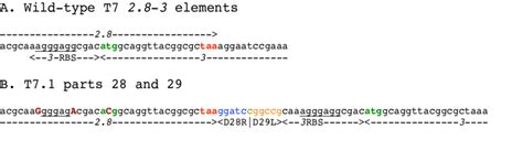 Element Decompression And Part Design A The Coding Regions Of Genes
