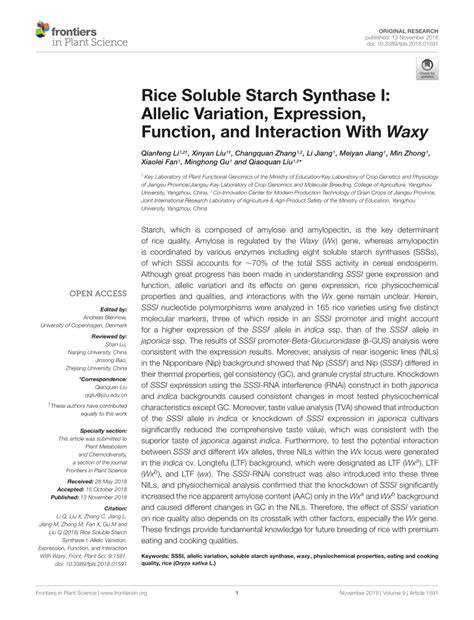 Pdf Rice Soluble Starch Synthase I Allelic Variation Expression Function And Interaction