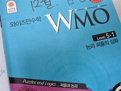 생각이 커가는 와이즈만사고력수학 수업 와이즈만북스