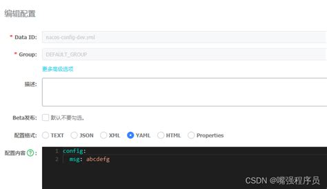 Nacos配置中心 Csdn博客