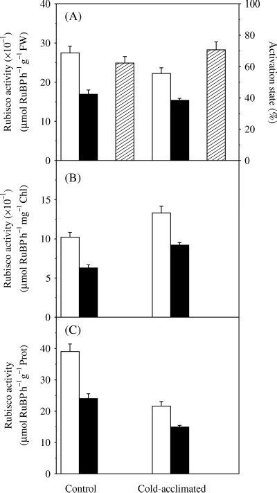 Rubisco Activity Vtotal Vinitial Activation State On A