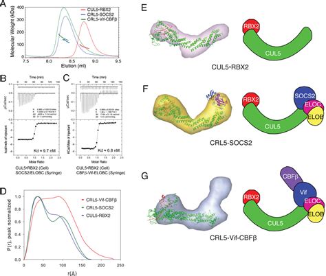 Cbfβ Stabilizes Hiv Vif To Counteract Apobec3 At The Expense Of Runx1