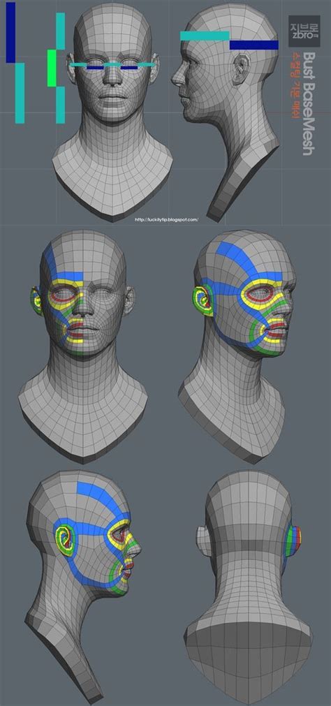 Hey I M Sharing This Mesh Zbro Bust Base Mesh Ztl Obj BaseMesh Zbrush Wireframe Face