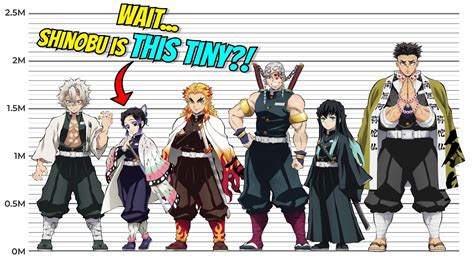 Demon Slayer Size Ranking Top 28 Characters By Height And Weight Youtube