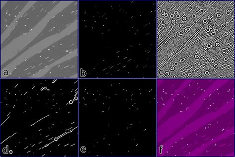 Automated Cell Segmentation A Raw Data Demonstrating Background Download Scientific