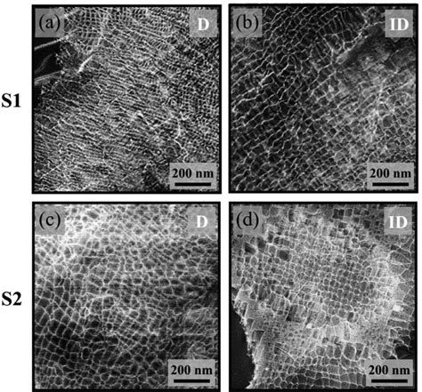 Dislocation Networks In Region Ⅲ Of S1 And S2 A B Stem Images In Download Scientific Diagram
