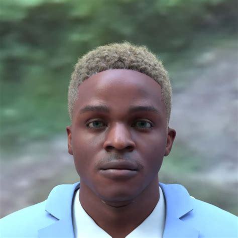 Synthesis Ais Face Api Inputs