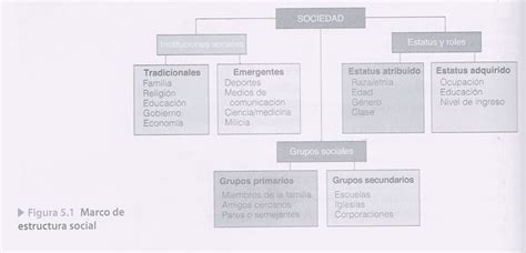 Rol Y Estatus Sociología