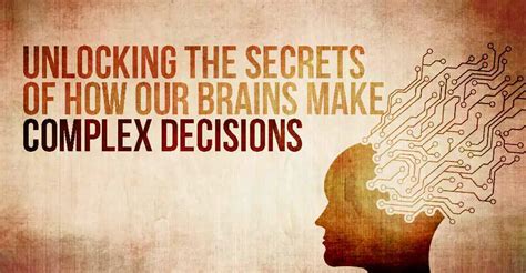 Unlocking The Secrets Of How Our Brains Make Complex Decisions