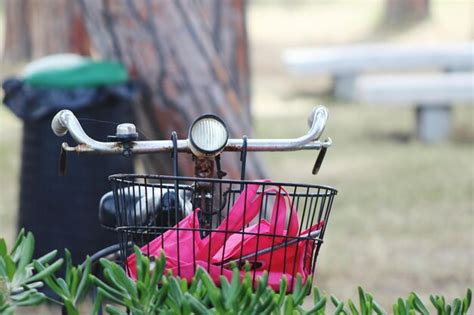 Premium Photo Close Up Bicycle Handle