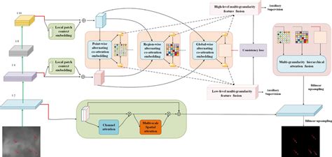 framework of hierarchical interactive multi granularity co attention