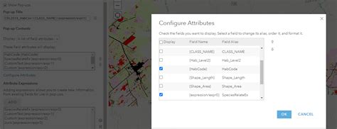 Solved Arcade Filterrelate Not Working In Popup Esri Community