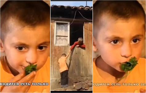 🎥საჭმელი არ გვაქვს მწვანილს ვჭამთ სულისშემძვრელი კადრები ქართული სოფლიდან