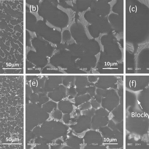 Sem Bse Micrographs Showing Die Cast Microstructure In A B And C