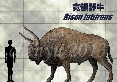 Bison Latifrons By Sinammonite On Deviantart