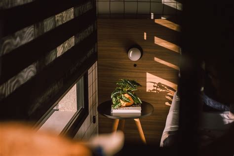 그 위에 화분에 심은 식물이 있는 작은 테이블 사진 Unsplash의 무료 파라나주 이미지
