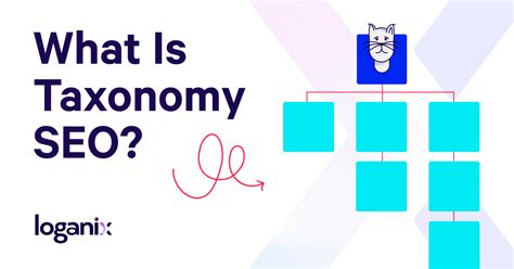 What Is Taxonomy Seo Site Structure Seo Best Practices