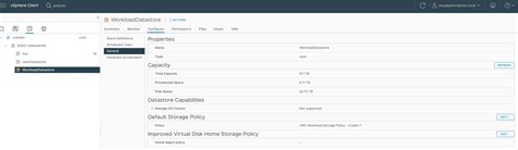 Vmware Cloud On Aws Tmcham Part 11 Storage Policies