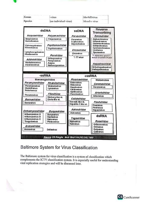 Viral Classification Genetics And Molecular Biology Camscanner