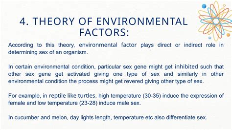Botany Theories Of Sex Determinationpptx