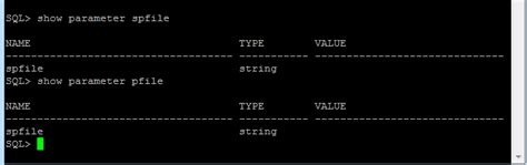 oracle的参数文件pfile和spfile 小强斋太 博客园
