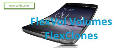 flexvol volumes flex clones arkit