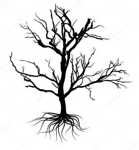 Tree With Roots Drawing At GetDrawings Free Download