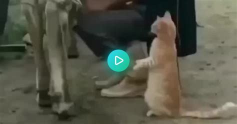 Vending Machine Album On Imgur