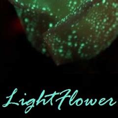LightFlower- светящиеся в темноте цветы | ˙•٠• Светящиеся живые цветы ...