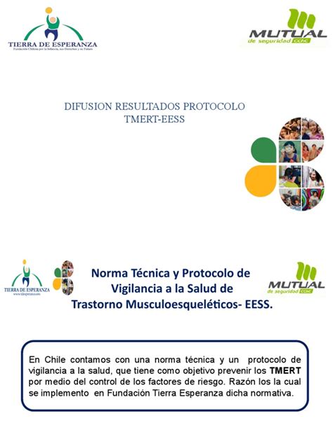Protocolo Tmert Eess En Chile Vigilancia Y Control Pdf Factores