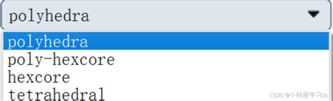 Ansys Fluent学习笔记（二）meshing生成网格整理总fluent Meshing网格划分步骤 Csdn博客
