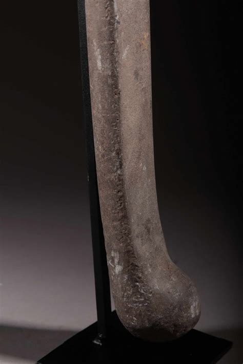 Neolithic Lithophone