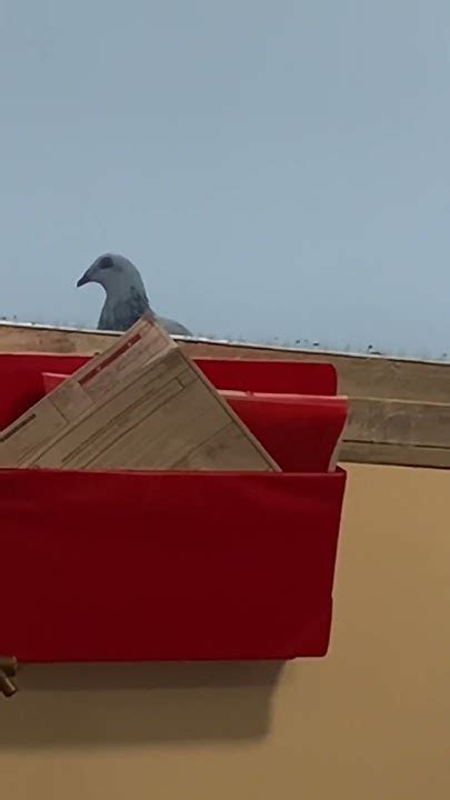 5 𝙅𝙪𝙡𝙮 2023 𝙋𝙞𝙡𝙚𝙙 𝙃𝙚𝙖𝙩𝙝 𝙍𝙤𝙖𝙙 𝙐𝙭𝙗𝙧𝙞𝙙𝙜𝙚 𝙐𝘽8 3𝙉𝙉 𝙃𝙤𝙨𝙥𝙞𝙩𝙖𝙡 Youtube