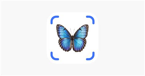 ‎bug Identifier Insect Finder On The App Store