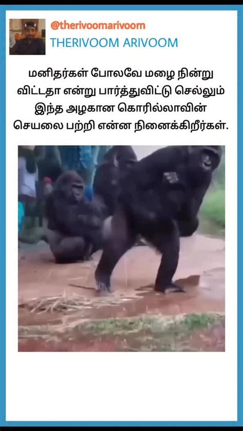 Therivoom Arivoom இதை பற்றி நீங்கள் என்ன நினைக்கிறீர்கள் Follow Therivoomarivoom To Get