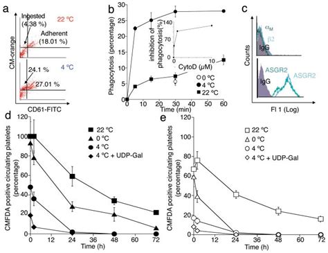 Dual Roles For Hepatic Lectin Receptors In The Clearance Of Chilled