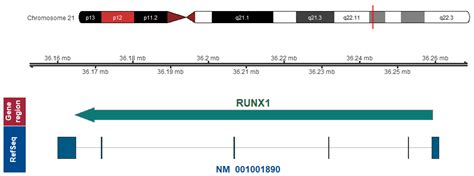 RUNX JCGA