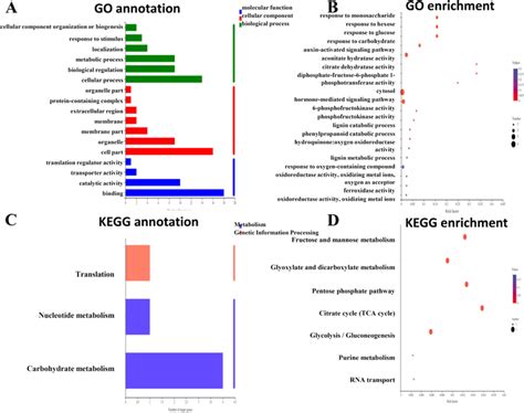 Go Annotation And Kegg Pathway Analysis Of Target Genes A And B Go Download Scientific Diagram