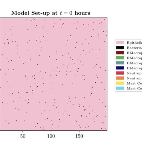 Figure E Spatial Domain And Initial Cell Distributions Download