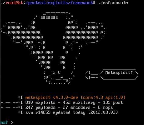 RaiderSec Introduction To Metasploit
